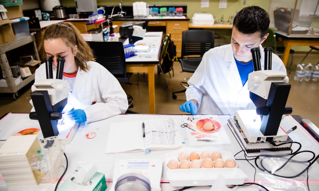 Events for October 2025 – Idaho INBRE