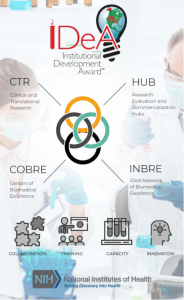 National Association of IDeA PIs (NAIPI) – Idaho INBRE